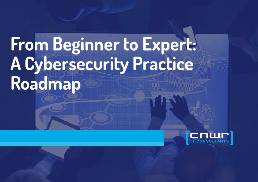 From Beginner to Expert: A Cybersecurity Practice Roadmap